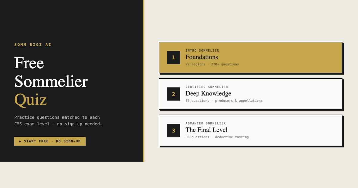 SOMM DIGI AI — AI Sommelier for Wine Pros & Wine Lovers